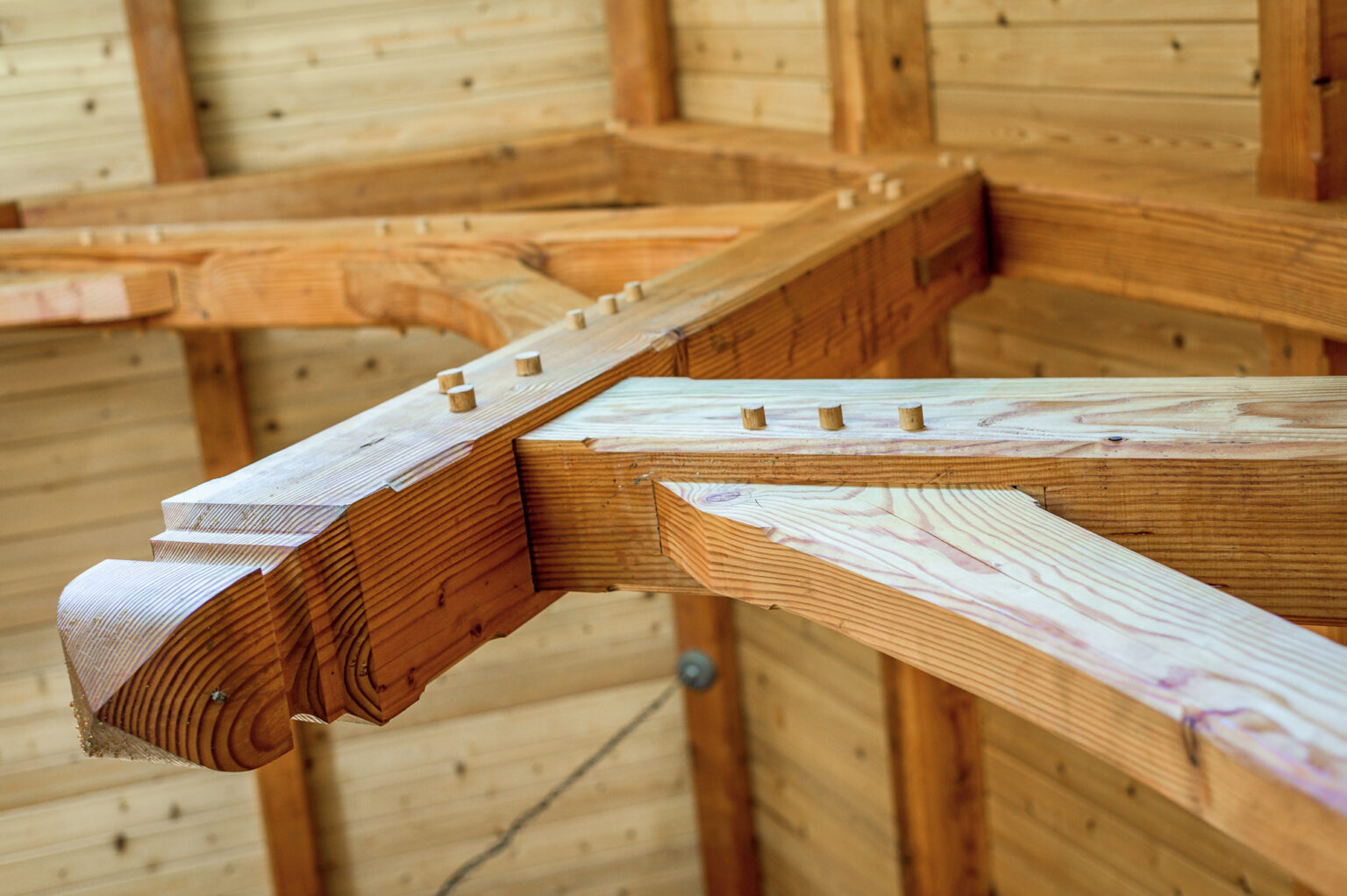 A Look at the History and Evolution of Wooden Pegs - Timbercraft Blog